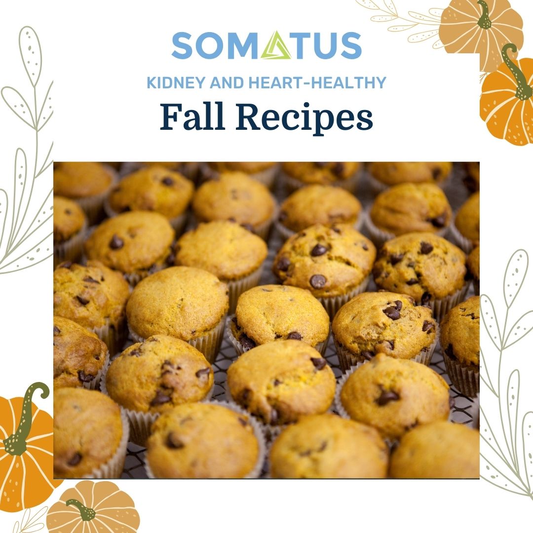Fall into Pumpkin Season - Somatus